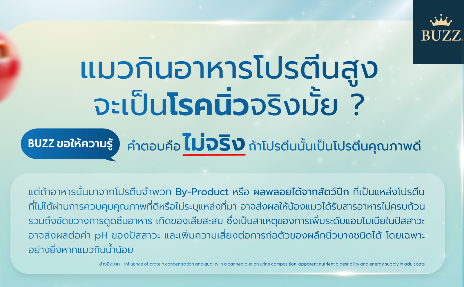 Healthy Diet For Dogs and Cats | Buzz Pet Food